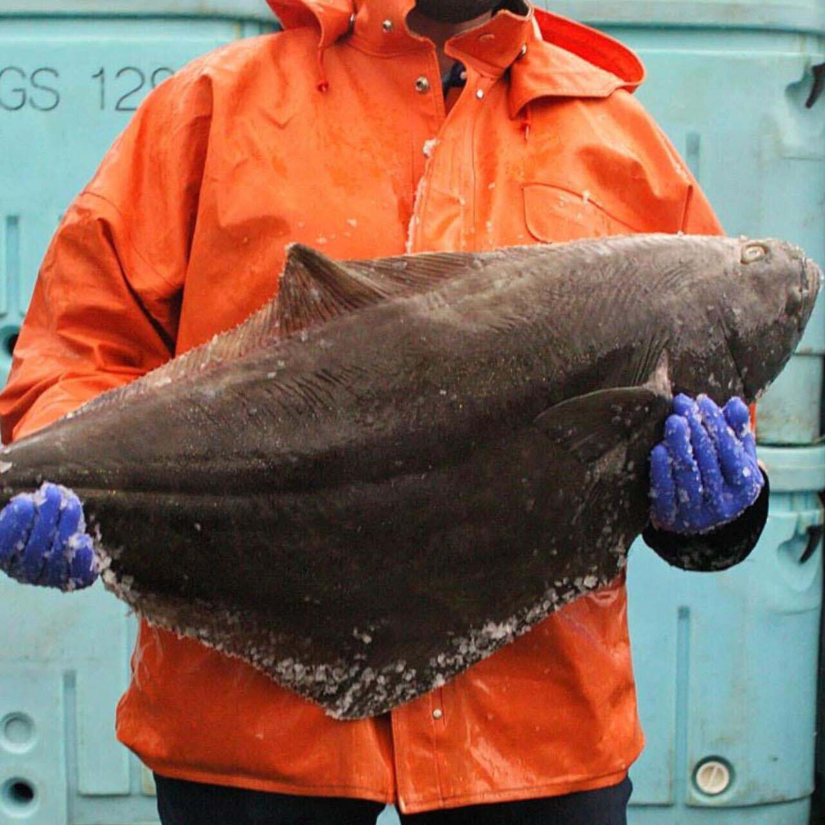 Pacific Halibut: Everything You Need to Know – Alaskan Salmon Company