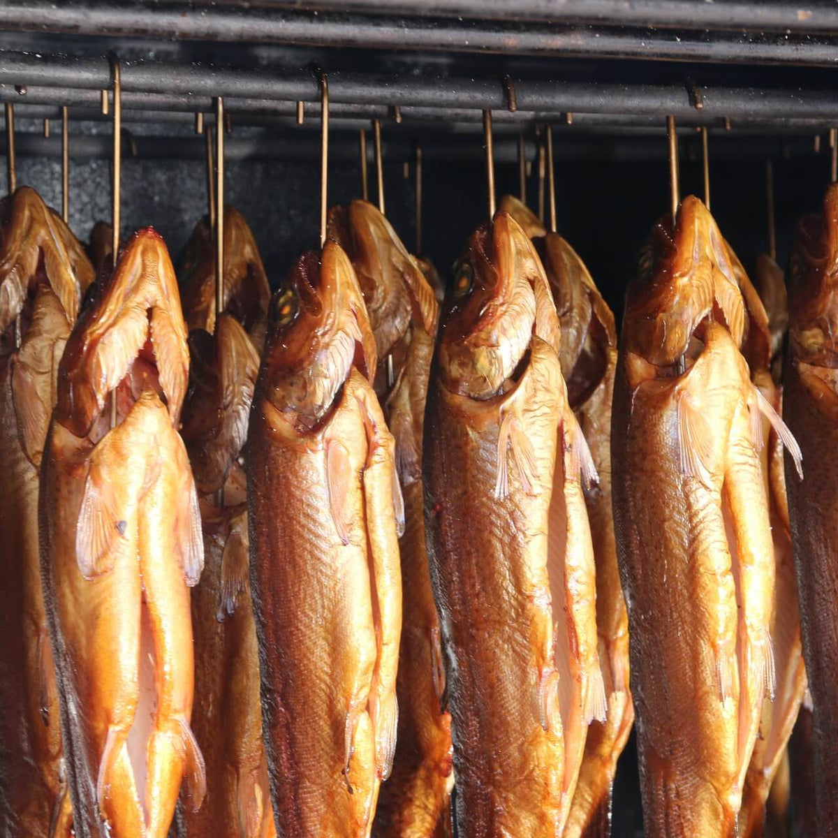 8 Best Fish to Smoke According to Chefs – Alaskan Salmon Company